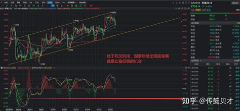 苹果2310主力合约成功回落，盈利兑现 知乎