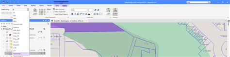 mapinfo pro and labelling with expressions