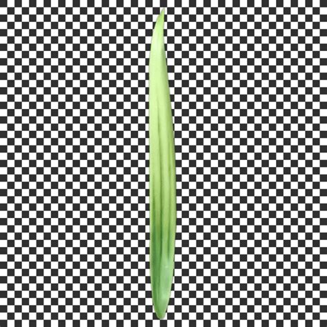 Blade Of Grass Decal A23d