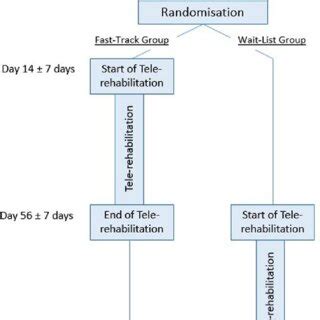 Study Flow Chart The Left Side Of The Diagram Illustrates The Time Download Scientific Diagram