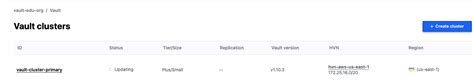 manage codified vault on hcp vault dedicated with terraform vault