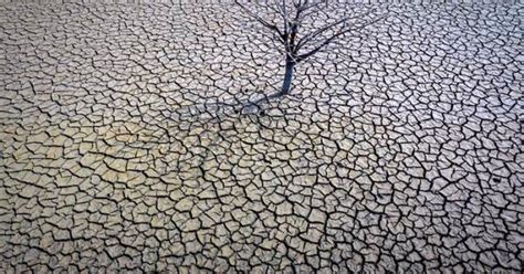 El Niño Provocará Sequías Más Severas Y Picos De Calor