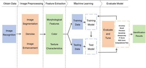 Schematic Flowchart Of Machine Learning Automated Identification System
