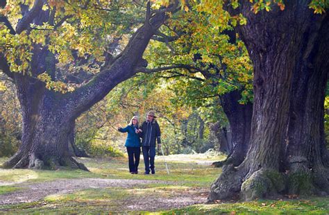 What To See And Do In Epping Forest District