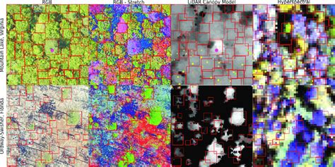 image annotated tree crowns for the evaluation data set for two sites