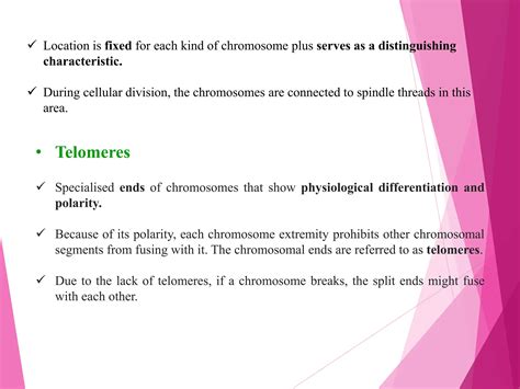 Chromosome Structure Types And Functionpptx