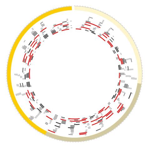 Visualize Data In A Circular Layout Circosjs Css Script