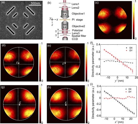 A Sem Image Of The Fabricated Antennas B Schematic Of The Download Scientific Diagram