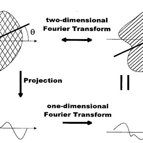 principle of the central slice theorem the value on a radial line at