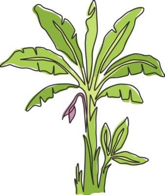 Tree Line Art PNGs For Free Download