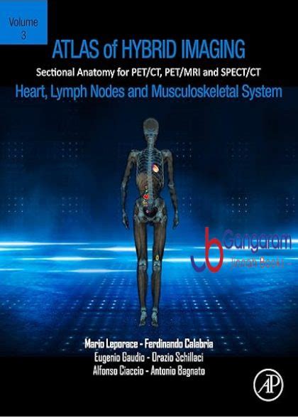 Atlas Of Hybrid Imaging Sectional Anatomy Vol 3
