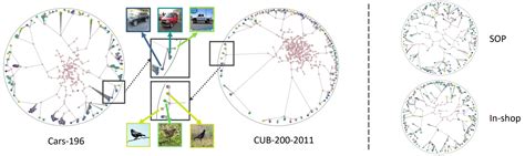 Hier Metric Learning Beyond Class Labels Via Hierarchical Regularization