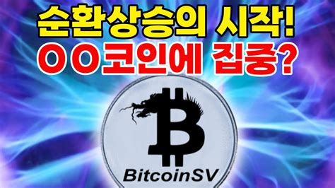 비트코인sv 코인 전망 현물etf 승인 기대감으로 인한 상승 첫번째 Youtube