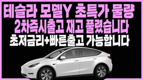 테슬라 모델y 빠른출고 재고차량 저금리 리스 장기렌트 할부 견적 보조금100모델y스탠다드 Youtube