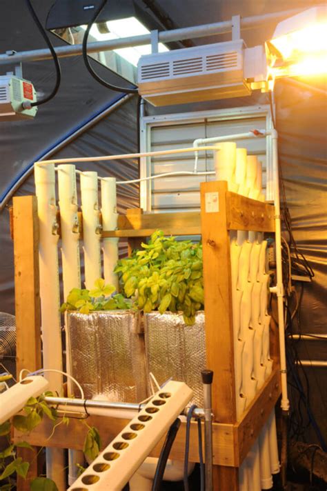 10 Cheap Diy Aquaponics System And Setup Guide
