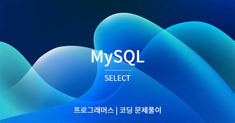 코딩 문제풀이 프로그래머스 mysql “select”
