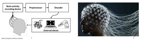 Github Dsa Bci Ch Selection Restoration And Implementation Of Papers Related To Bci