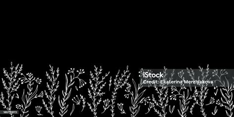 화이트 꽃무늬 보더 야생 잔디와 꽃 들판 테두리 스케치 손 그려진 에서 낙서 스타일 통하고 있는 통하고 있는 검은 배경 구도에 대한 스톡 벡터 아트 및 기타 이미지 Istock