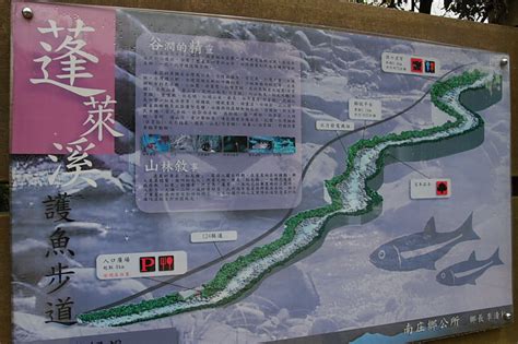 南庄兩天一夜之2蓬萊溪護魚步道蓬萊社區七星宮 佑佑皮皮 in udn 網誌 udn部落格