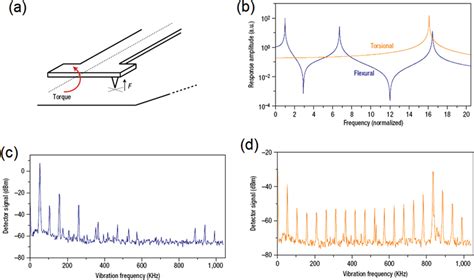 A A Schematic Illustration Of A Special Afm Cantilever With An Off‐set Download Scientific