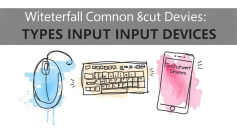 Essential Common Input Devices Types Functions And Examples 2025