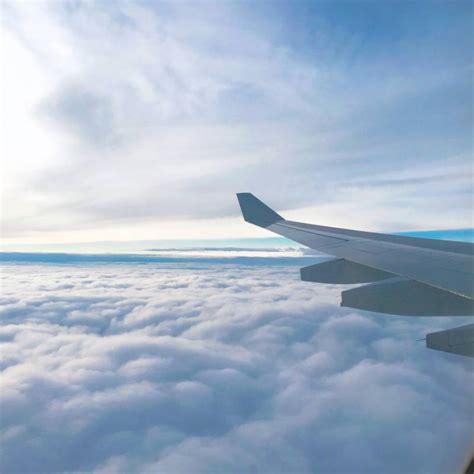 비행기 구름샷 있는 익드라 좀 보여죠 구경하게 인스티즈instiz 일상 카테고리