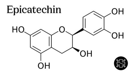 What is Epicatechin | Sources, Effects & Research
