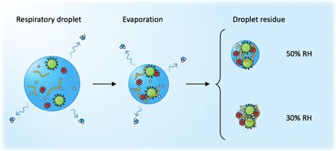 Drying Out Of A Respiratory Droplet The Droplet Progressively Download Scientific Diagram