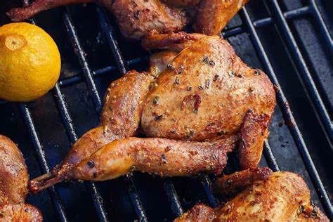 طرز تهیه بلدرچین پرتقالی بلدرچین با سس پرتقال