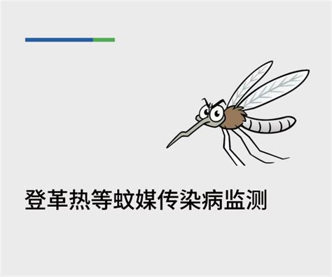 辉锦创兴
