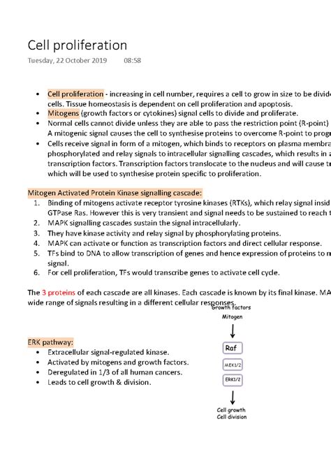 Cell Proliferation Lecture Notes 1 Warning Tt Undefined Function 32 Cell Proliferation