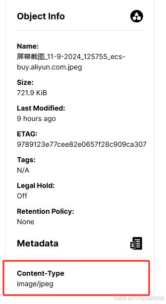 Springboot Minio 上传文件无法预览？minio 无法预览 Csdn博客