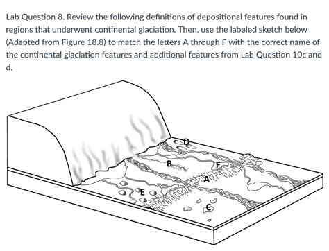 Solved Lab Question 8 Review The Following Definitions Of