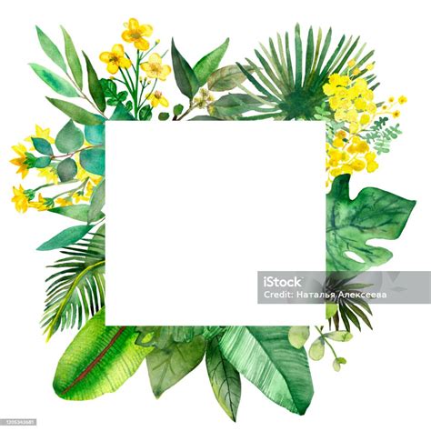 수채화 손은 노란색 아카시아와 미나리 꽃 꽃과 녹색 열대 잎이 텍스트 에 대한 공간과 초대 및 인사말 카드에 대한 흰색 배경에 자연 사각형 프레임을 그린 0명에 대한 스톡