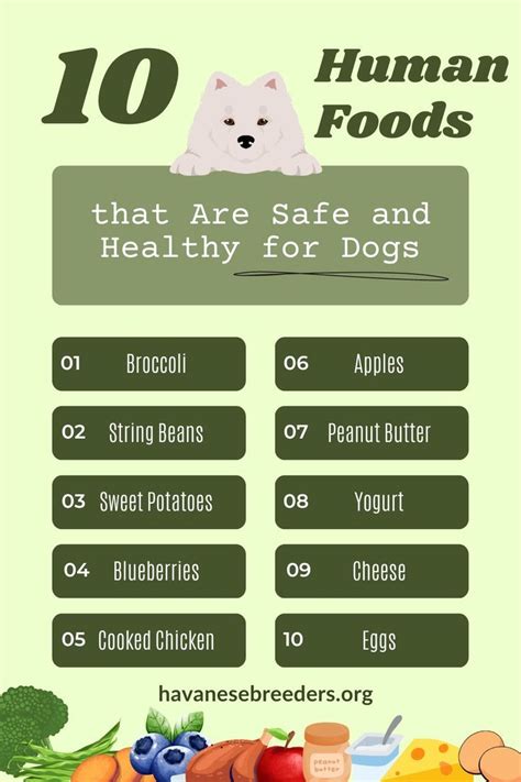 Ten Human Foods That Are Safe And Healthy For Dogs Artofit