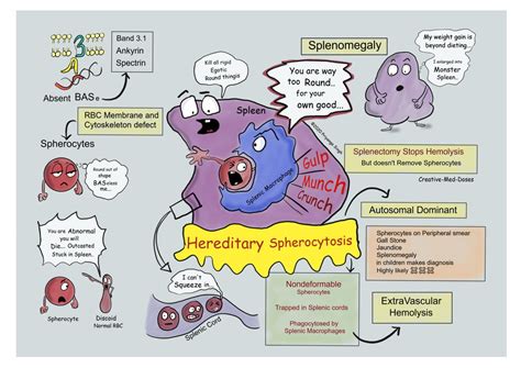 Topics Creative Med Doses