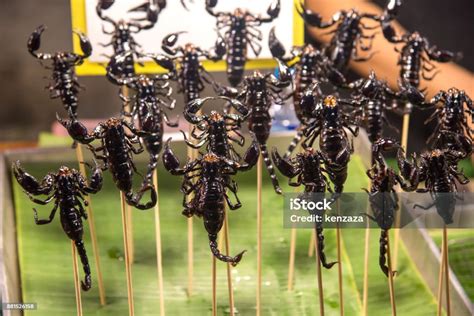 태국에서 길거리 음식 간식으로 전갈 구이 0명에 대한 스톡 사진 및 기타 이미지 0명 거리 건강한 식생활 Istock