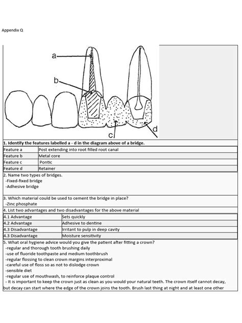 Appendix Q Pdf