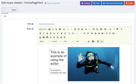 Ckeditor Rich Text Editor Plugin Nopcommerce