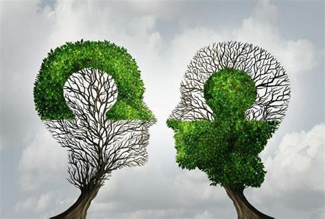 Human Relationships Part 1