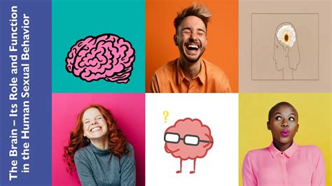 UTS The Sexual Self Understanding The Self PDF