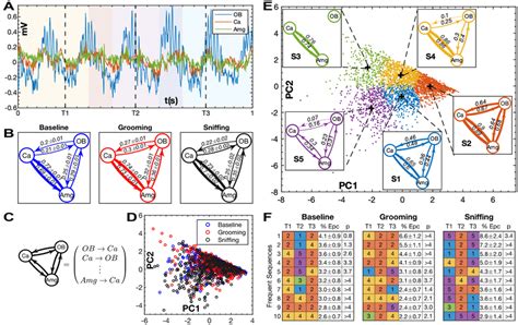 Application Of CCS To Multi Region Neural Recordings In Rats A Download Scientific Diagram
