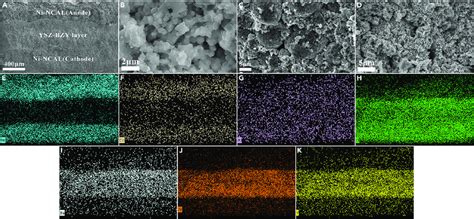 Cross Sectional Sem Images And Eds Mapping Images A K Cross Sectional Download Scientific