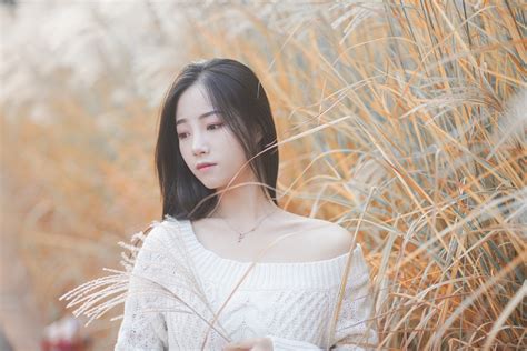 [아트그림] 2022 12 09 갈대에 감춰진 부드러움 V2ph