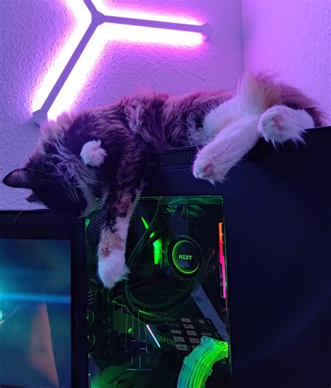 I Guess Thats Comfortable Rdanglers