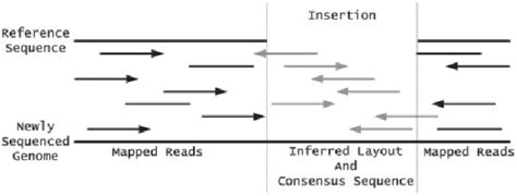 figure 1 from a consistency based consensus algorithm for de novo and reference guided sequence