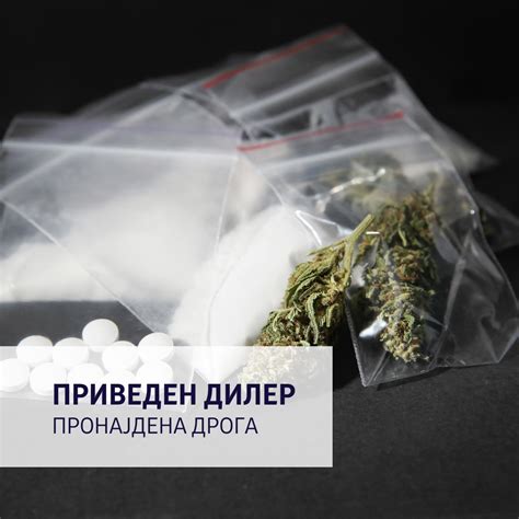 Претрес во Велес пронајдена дрога На 17 11 2024 во 12 50 часот полициски службеници од Отсекот