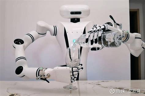 首发丨完成A 轮融资睿尔曼加速推进GPR通用机器人走进千家万户 5月15日睿尔曼智能科技北京有限公司以下简称睿尔曼宣布完成