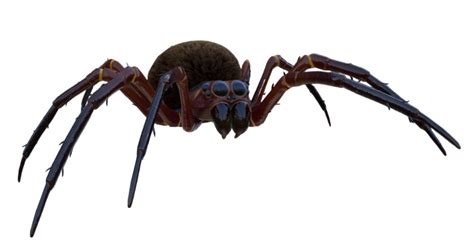 Discuss Everything About Grounded Wiki Fandom