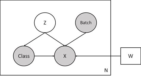 Interfacing Pytorch Models With Collections Of AnnData Objects